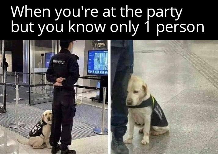 When You're At The Party But You Know Only 1 Person Pictures, Photos ...