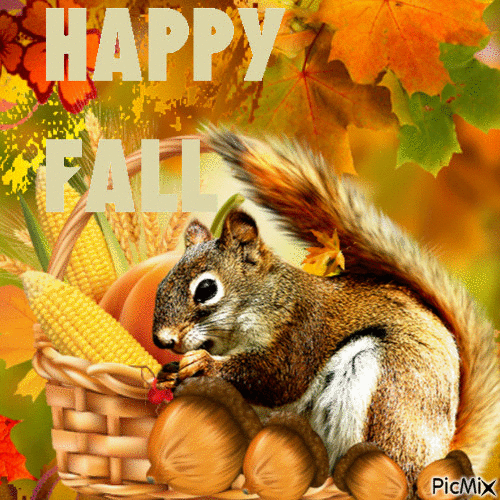 Squirrel Happy Fall Gif Pictures, Photos, and Images for Facebook ...
