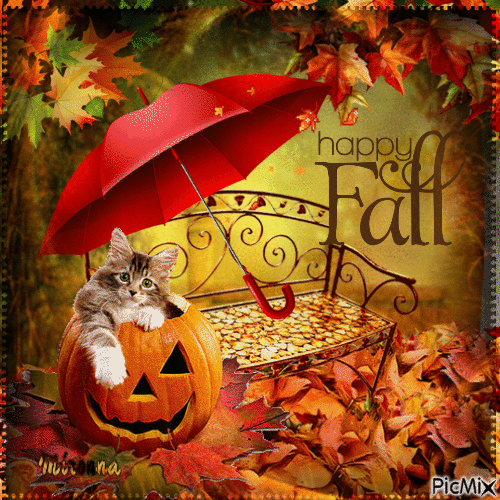 Happy Fall Kitty In Jack O Lantern Pictures, Photos, and Images for ...
