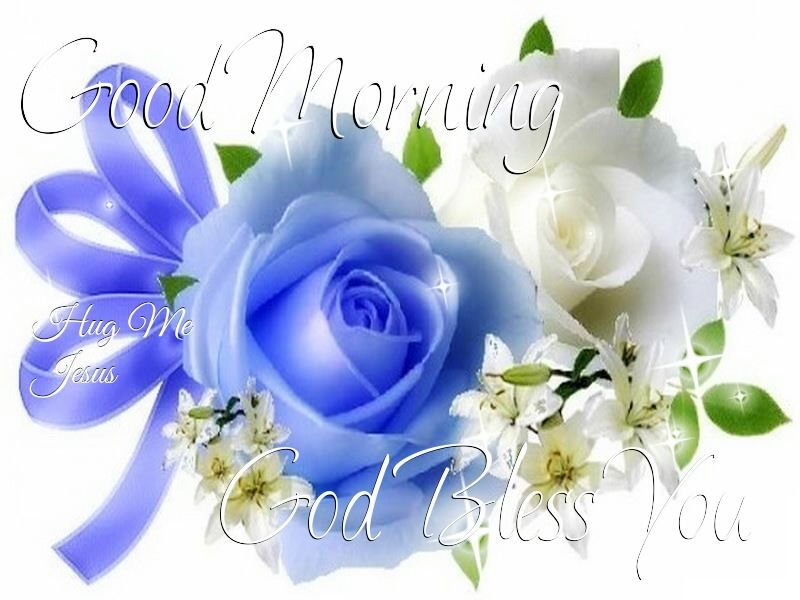 Good Morning Blue Rose