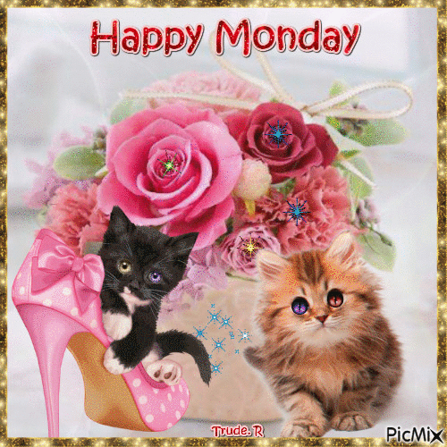 Happy Monday Kittens Gif Pictures, Photos, and Images for Facebook ...