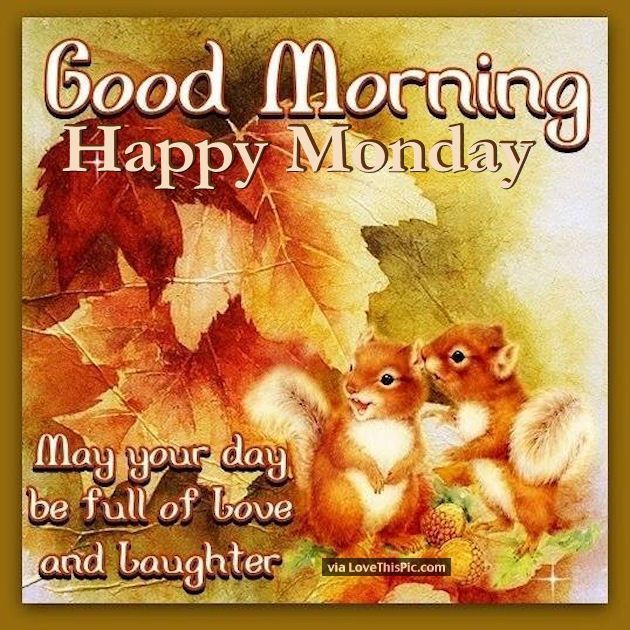 Fall Squirrel Good Morning Happy Monday Pictures, Photos, and Images ...