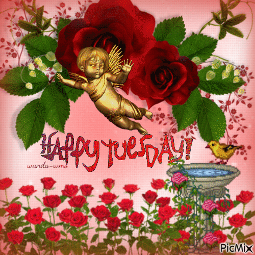 Gold Angel Happy Tuesday Gif Pictures, Photos, and Images for Facebook ...