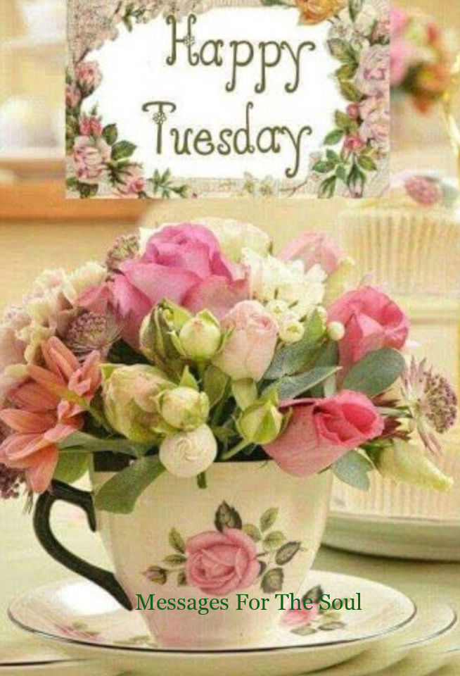 Assorted Flower Cup - Happy Tuesday Pictures, Photos, and Images for ...