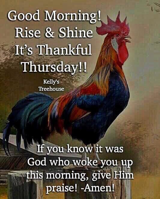 It's Thankful Thursday! Good Morning! Rise & Shine Pictures, Photos ...