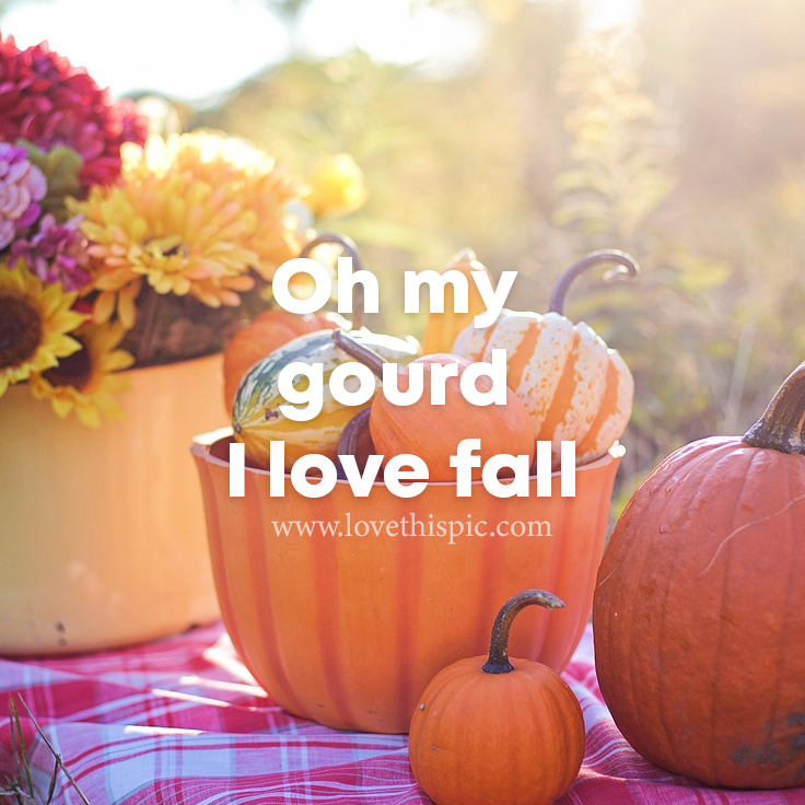 Oh My Gourd I Love Fall Pictures, Photos, and Images for Facebook ...