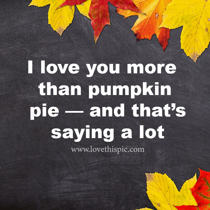 I Love You More Than Pumpkin Pie — And That’s Saying A Lot. Pictures ...
