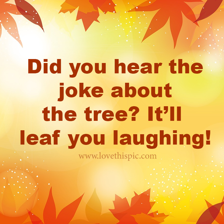Did You Hear The Joke About The Tree? It’ll Leaf You Laughing! Pictures ...