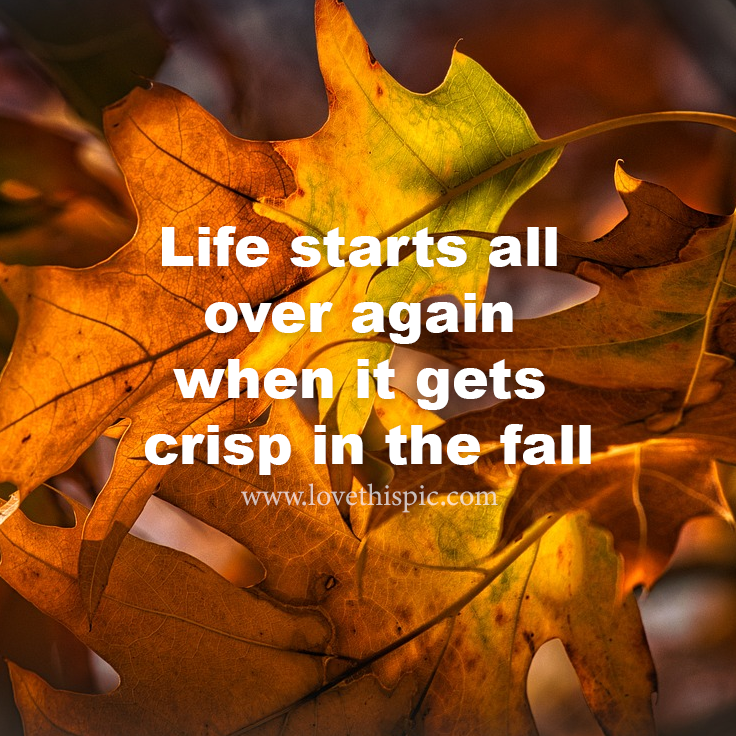 Life Starts All Over Again When It Gets Crisp In The Fall Pictures ...