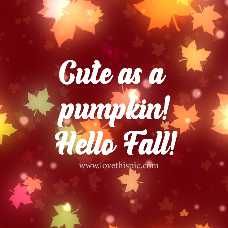 Cute As A Pumpkin, Hello Fall Pictures, Photos, and Images for Facebook ...