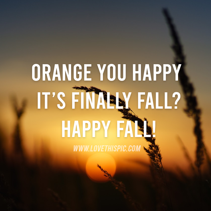 Orange You Happy It’s Finally Fall? Pictures, Photos, and Images for ...