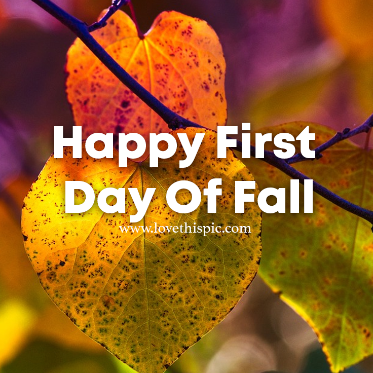 Orange & Yellow Leaves - Happy First Day Of Fall Pictures, Photos, and ...