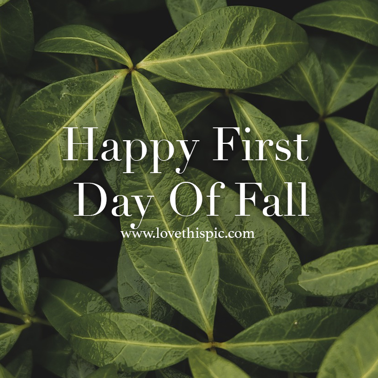 Green Leaves - Happy First Day Of Fall Pictures, Photos, and Images for ...