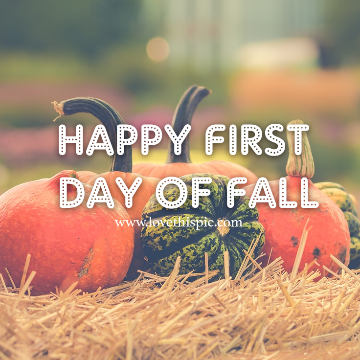 Patch Of Pumpkins - Happy First Day Of Fall Pictures, Photos, and ...