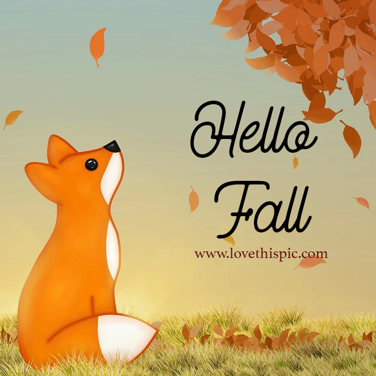 Red Fox - Hello Fall Pictures, Photos, and Images for Facebook, Tumblr ...