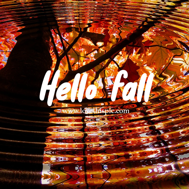 Fall Tree Reflection - Hello Fall Pictures, Photos, and Images for ...