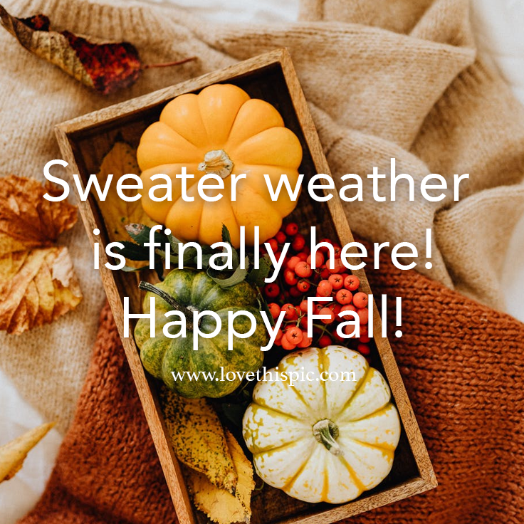 Sweater Weather Is Finally Here! Happy Fall Pictures, Photos, and ...