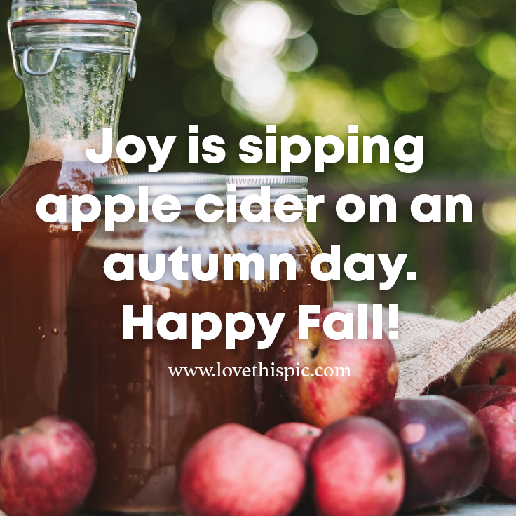 Joy Is Sipping Apple Cider On An Autumn Day. Pictures, Photos, and ...