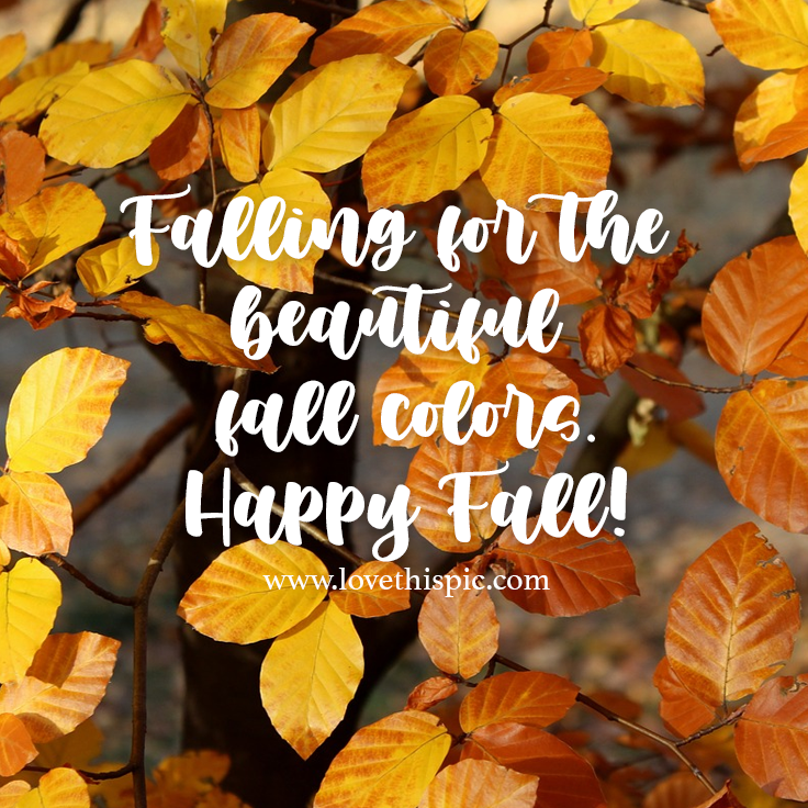 Falling For The Beautiful Fall Colors. Happy Fall! Pictures, Photos ...
