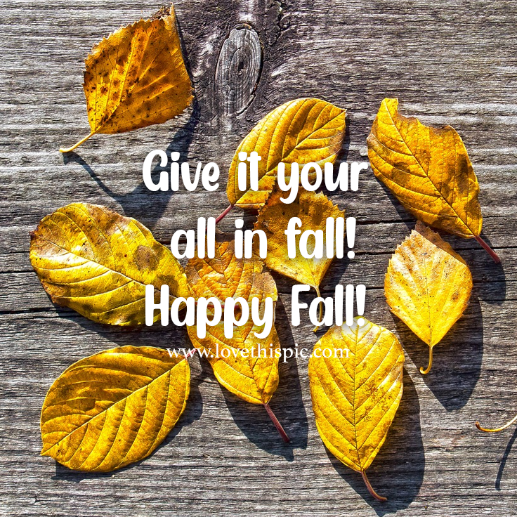 Give It Your All In Fall! Happy Fall! Pictures, Photos, and Images for ...