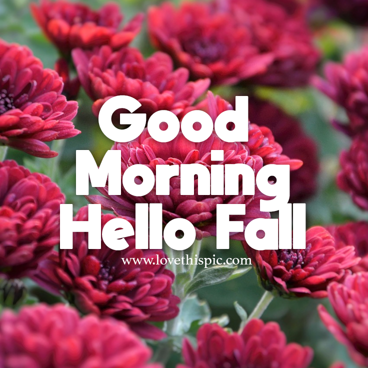 Chichewa Flower - Good Morning Hello Fall Pictures, Photos, and Images ...