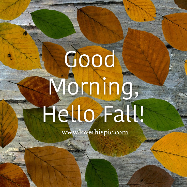 Leaf Foliage - Good Morning, Hello Fall! Pictures, Photos, and Images ...