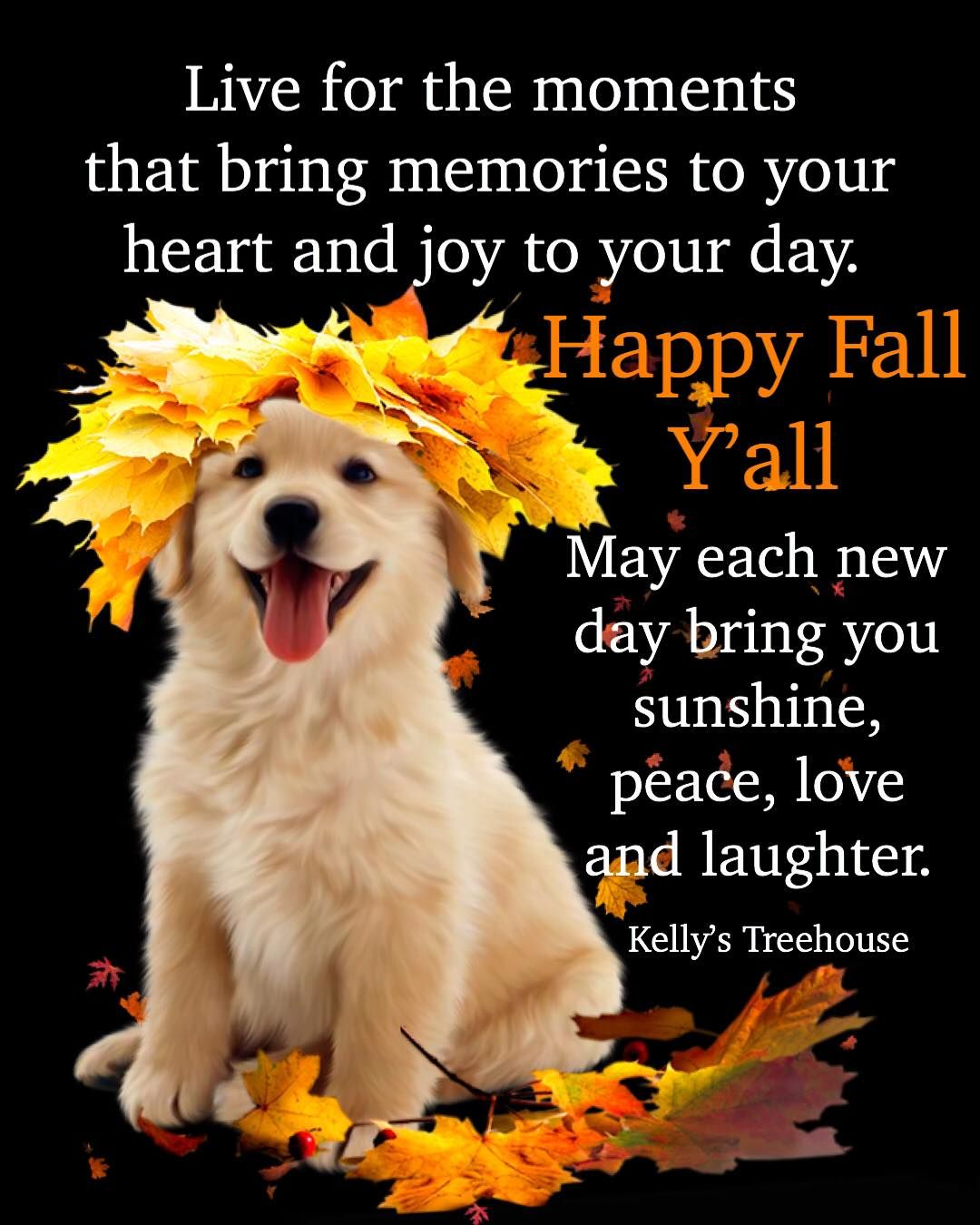 Live For The Moments That Bring Memories To Your Heart And Joy To Your ...