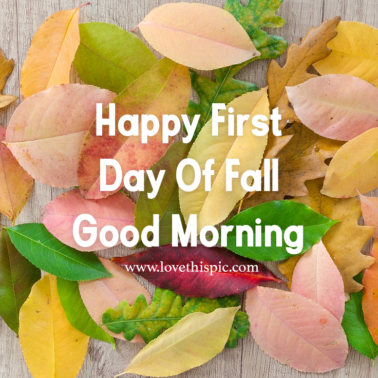 Multi Leaves - Happy First Day Of Fall, Good Morning Pictures, Photos ...