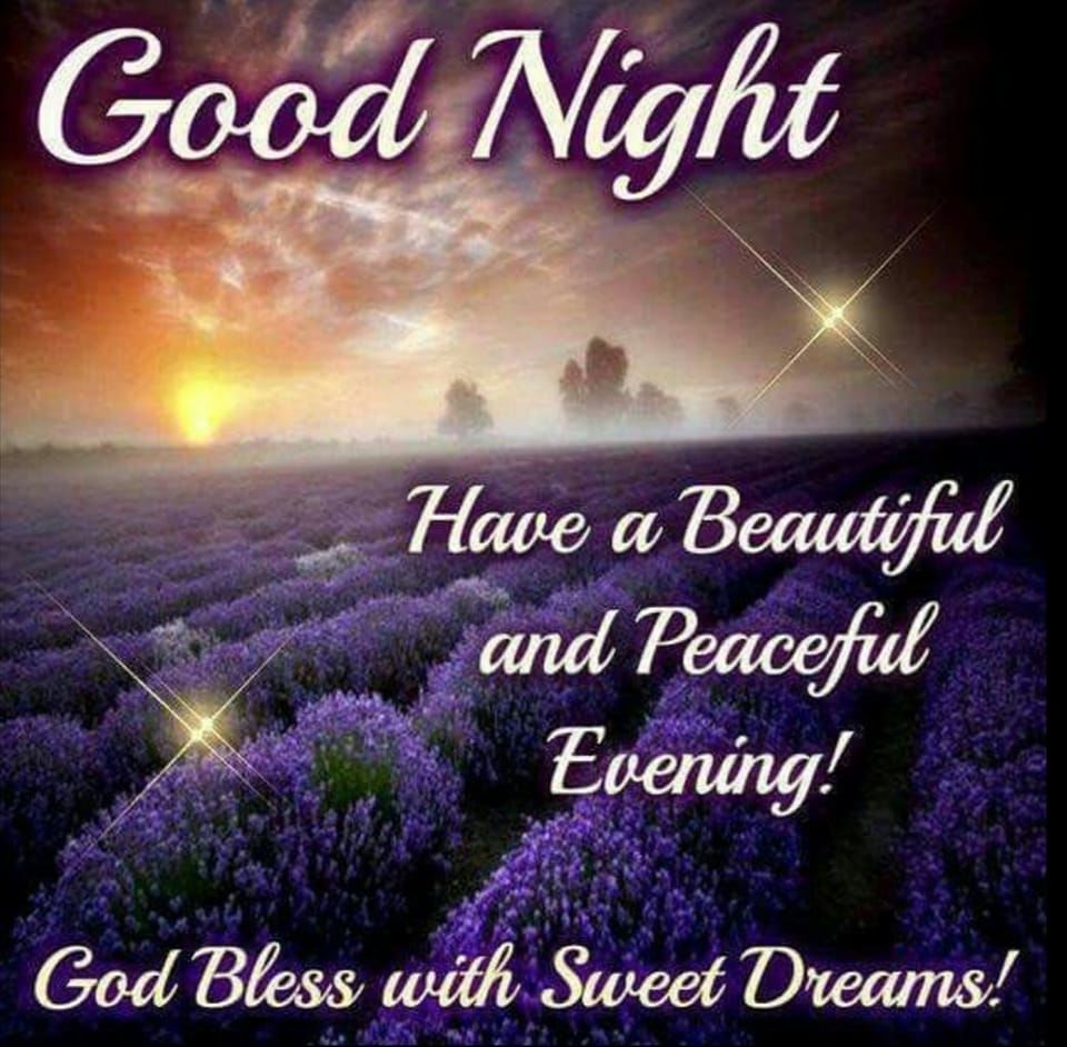 Good Night Have A Beautiful And Peaceful Evening Pictures, Photos, and ...