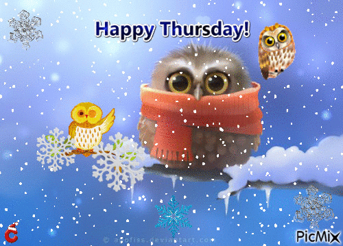 Happy Thursday Owl Gif Pictures, Photos, and Images for Facebook ...