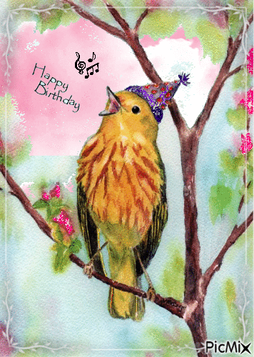 Happy Birthday Bird Pictures, Photos, and Images for Facebook, Tumblr ...
