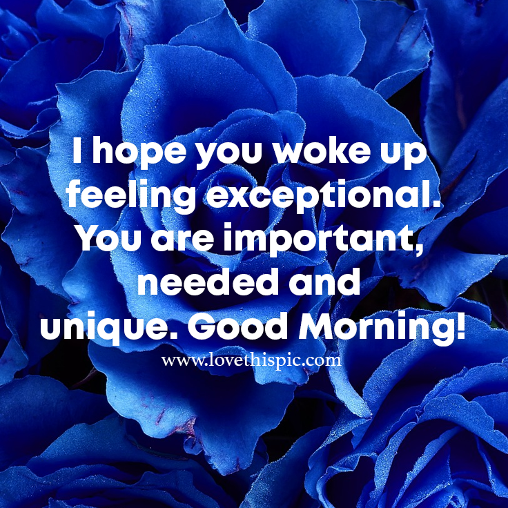 I Hope You Woke Up Feeling Exceptional. You Are Important, Needed And Unique. Good Morning ...