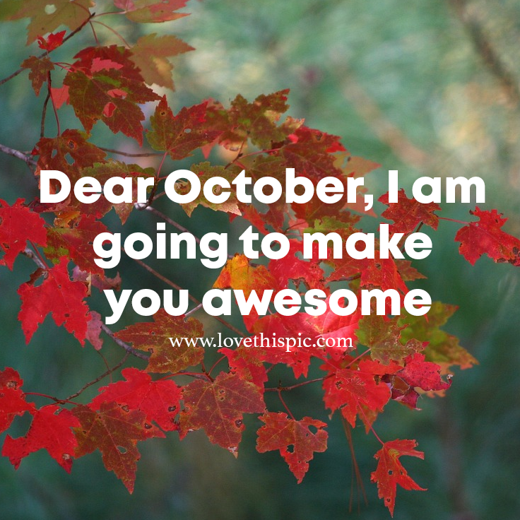 Dear October, I Am Going To Make You Awesome. Pictures, Photos, and ...