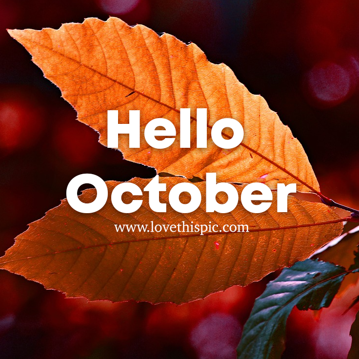 Leaf On Twig - Hello October Pictures, Photos, and Images for Facebook ...