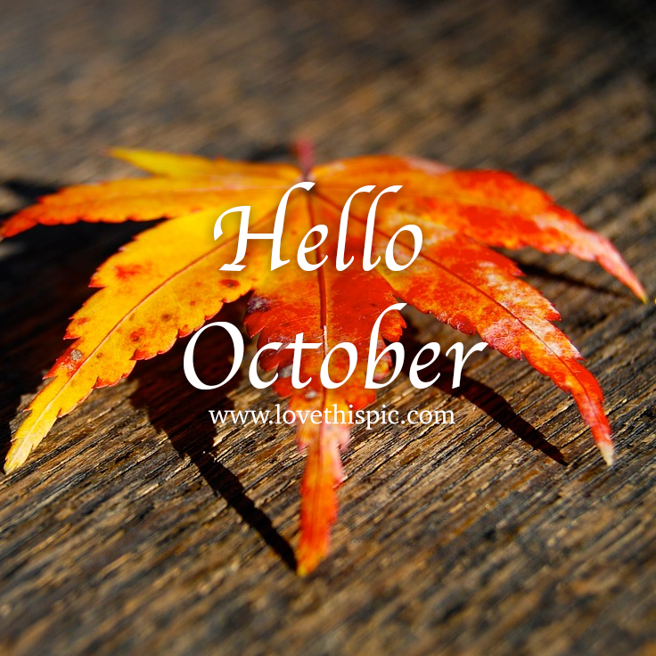 Fall Leaf On Wood - Hello October Pictures, Photos, and Images for ...