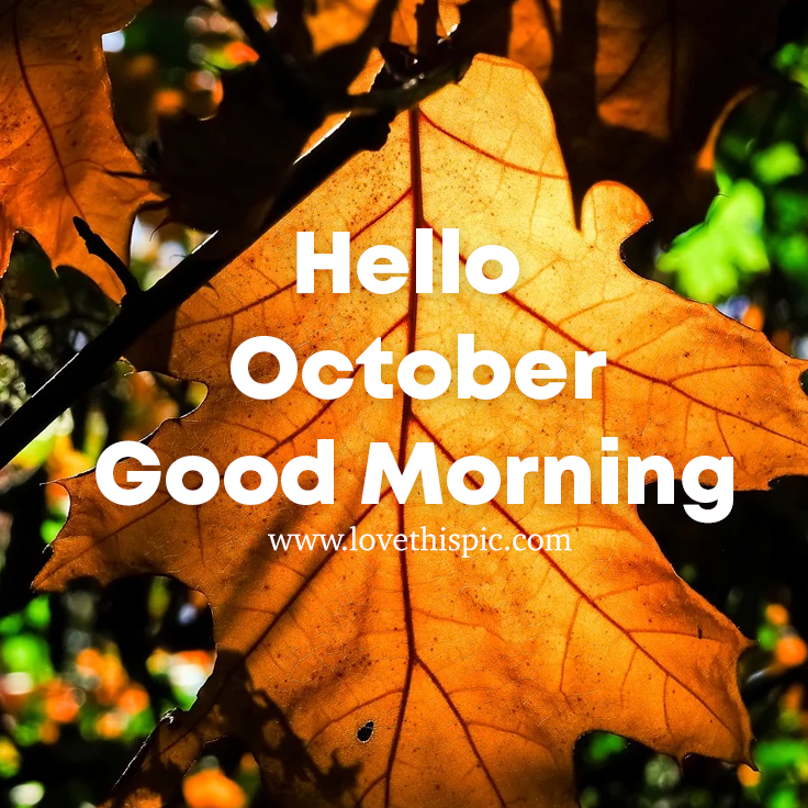 Hello October, Good Morning Pictures, Photos, and Images for Facebook ...