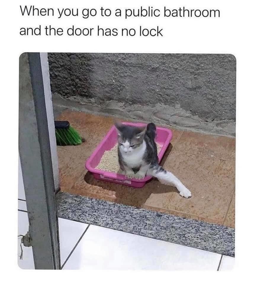 Public Toilet Meme
