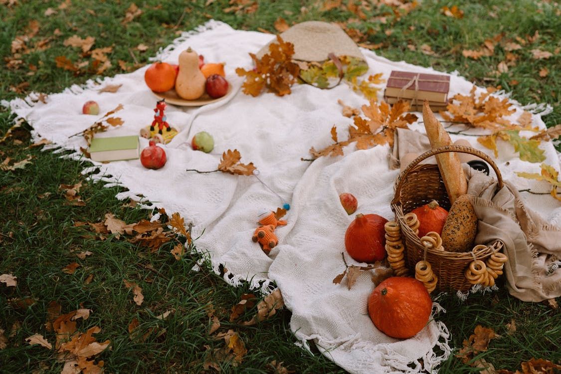 Autumn Picnic Pictures, Photos, and Images for Facebook, Tumblr ...