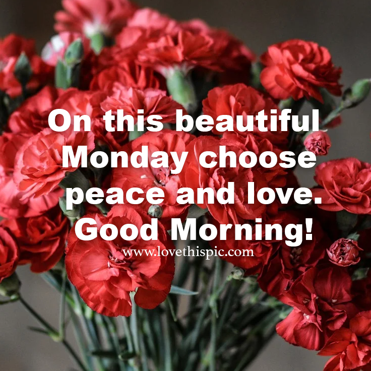 On This Beautiful Monday Choose Peace And Love. Good Morning! Pictures ...