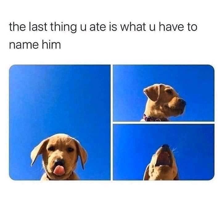 The Last Thing You Ate Is What You Have To Name Him Pictures, Photos ...