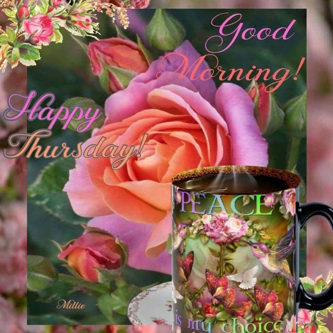 Colorful Rose - Good Morning Happy Thursday Pictures, Photos, and ...