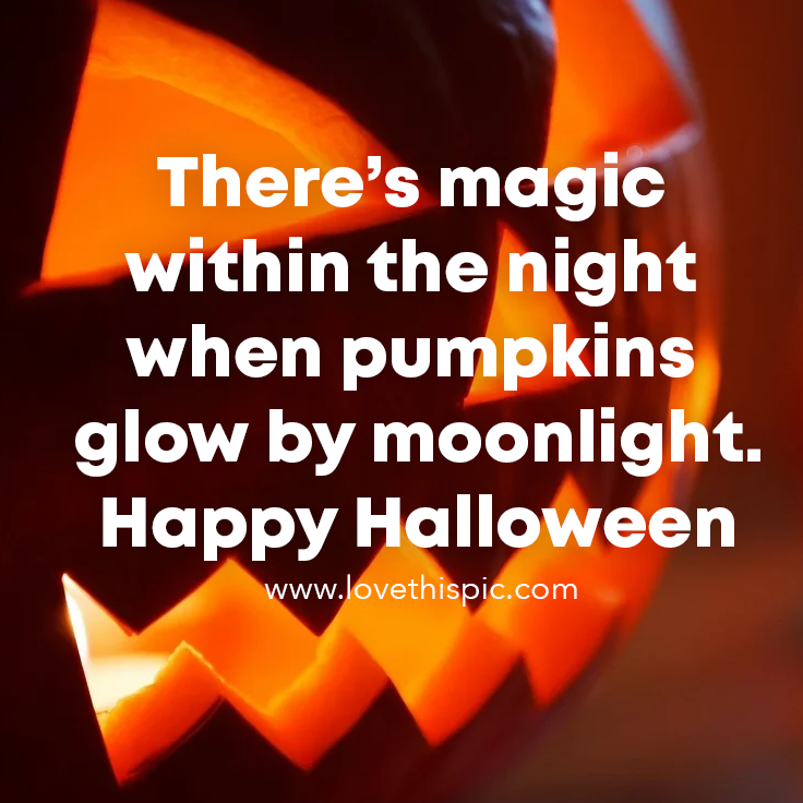 There’s Magic Within The Night When Pumpkins Glow By Moonlight. Happy ...