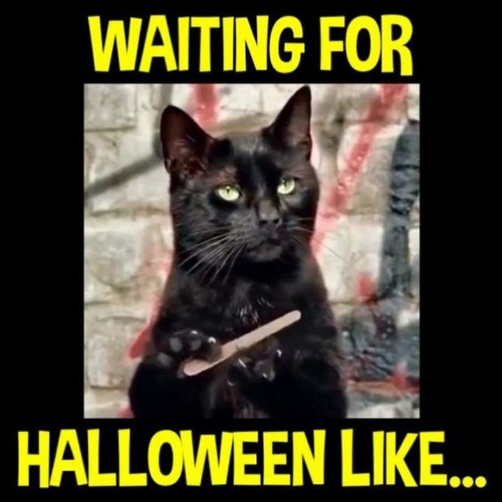 Waiting For Halloween Like... Pictures, Photos, and Images for Facebook ...
