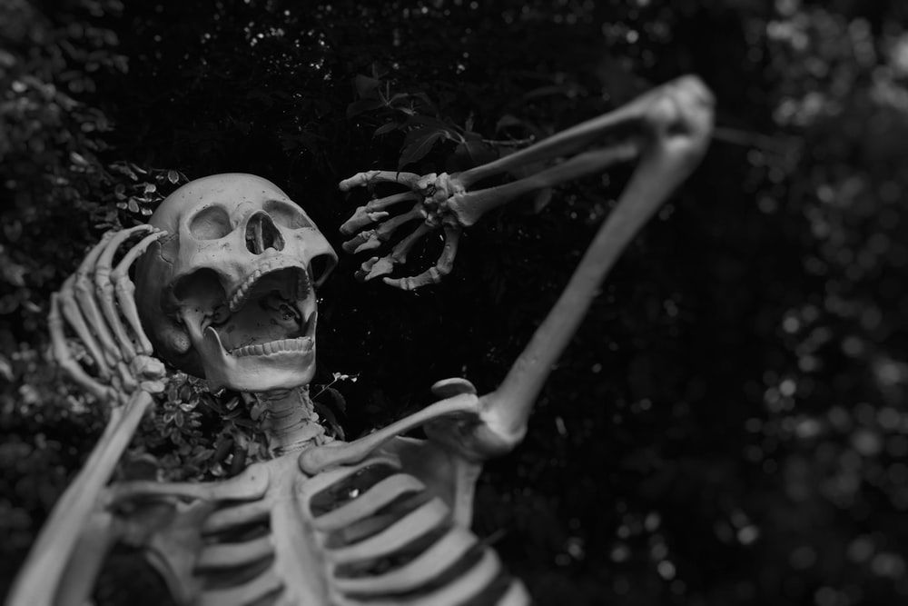 Screaming Skeleton Pictures, Photos, and Images for Facebook, Tumblr ...