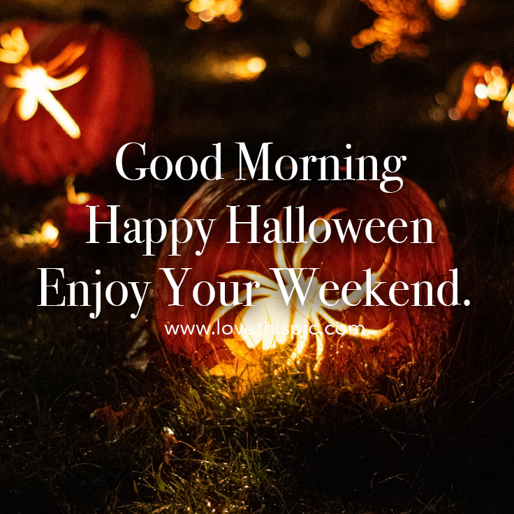 Spider Pumpkin Decor - Good Morning, Happy Halloween. Enjoy Your ...