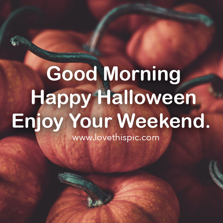 Mini Pumpkin Bundle - Good Morning, Happy Halloween. Enjoy Your Weekend ...