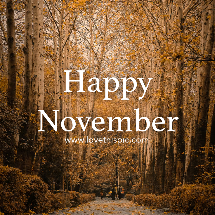 Trees In Brown Field - Happy November Pictures, Photos, and Images for ...
