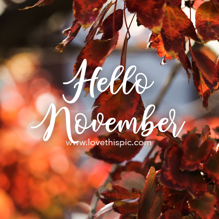 Red Leafs - Hello November Quote Pictures, Photos, and Images for ...