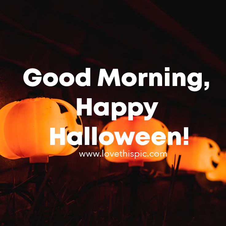 Jack O Lantern Lights - Good Morning, Happy Halloween Pictures, Photos ...