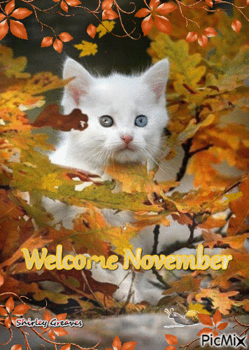Goodbye October, Welcome November Pictures, Photos, and Images for ...